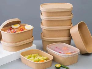Disposables Biodegradable Food Packaging Containers Manufacturer
